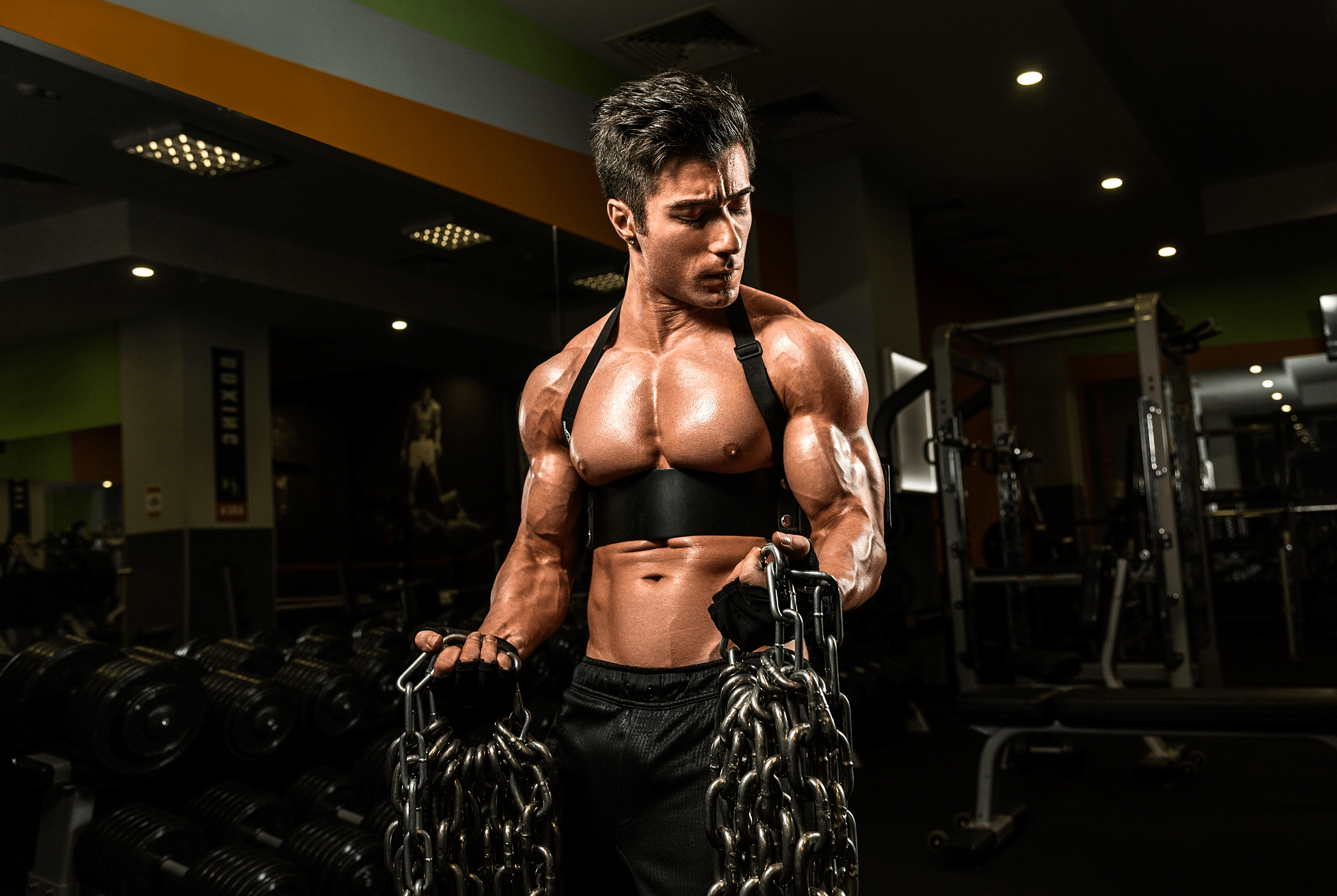 Dubai Host World Most Expensive Bodybuilding Championship with AED1.2 ...